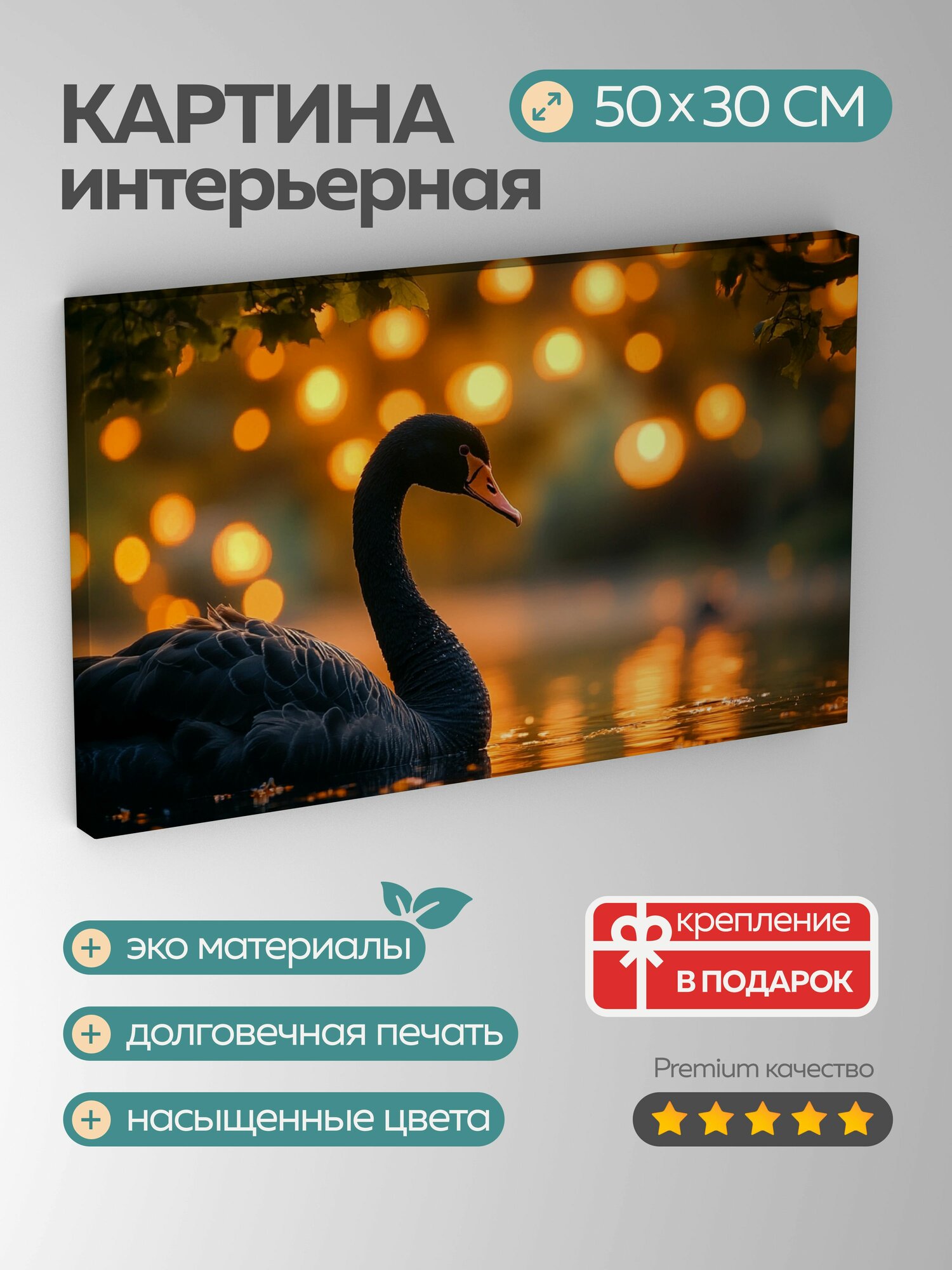 Картина на холсте интерьерная 50х30 см, Черный лебедь, фотография, рассеянный свет, контраст, оперение, освещение, f