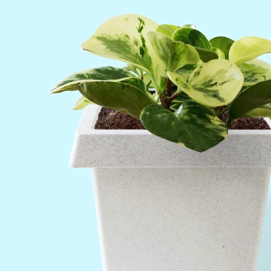 Кашпо пластиковое «квадро» 1,5л, белый гранит, квадратная форма, легкое и прочное для дома и сада