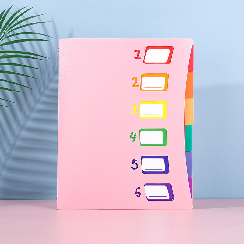 Папка-классификатор Rainbow, для трансграничной торговли, формат А4, розовая