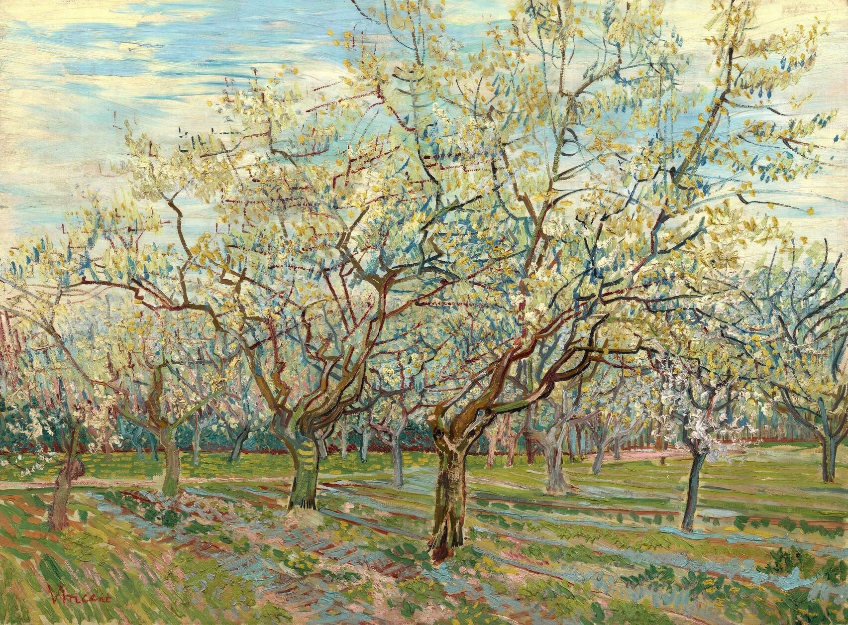 Картина Винсент Ван Гога Белый сад 60х47 см