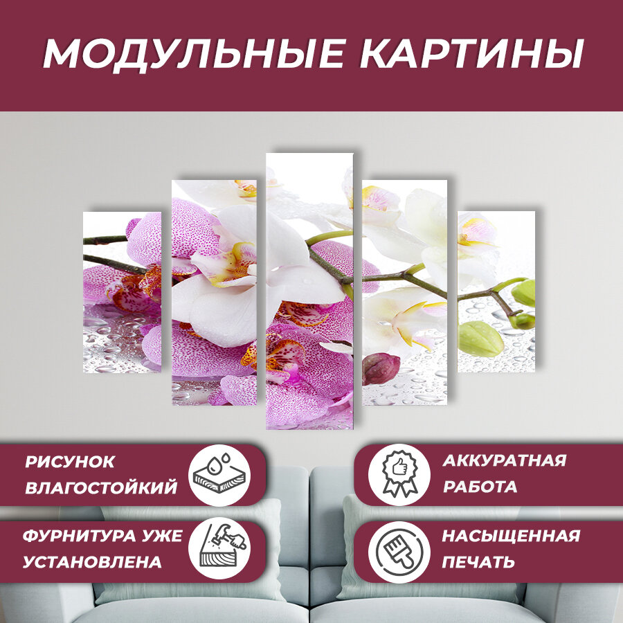 Modul007 Модульная картина из 5 модулей "Орхидея капелька" 140х80 см для гостиной для спальни для комнаты для интерьера