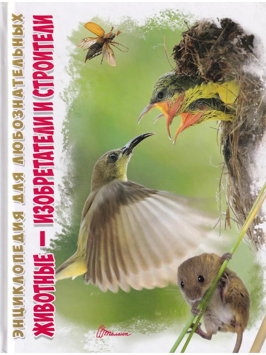 Гапченко А. Энциклопедия для любознательных Животные - изобретатели и строители