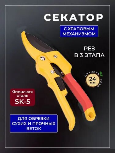 СекаторA
