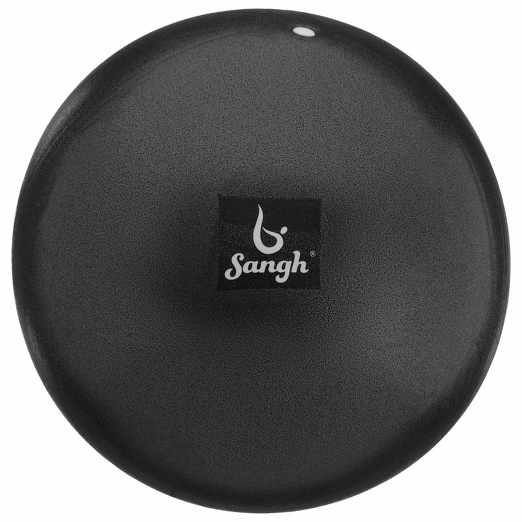 Мяч для йоги Sangh, ПВХ, ABS, цвет черный, диаметр 25см, вес 100 гр