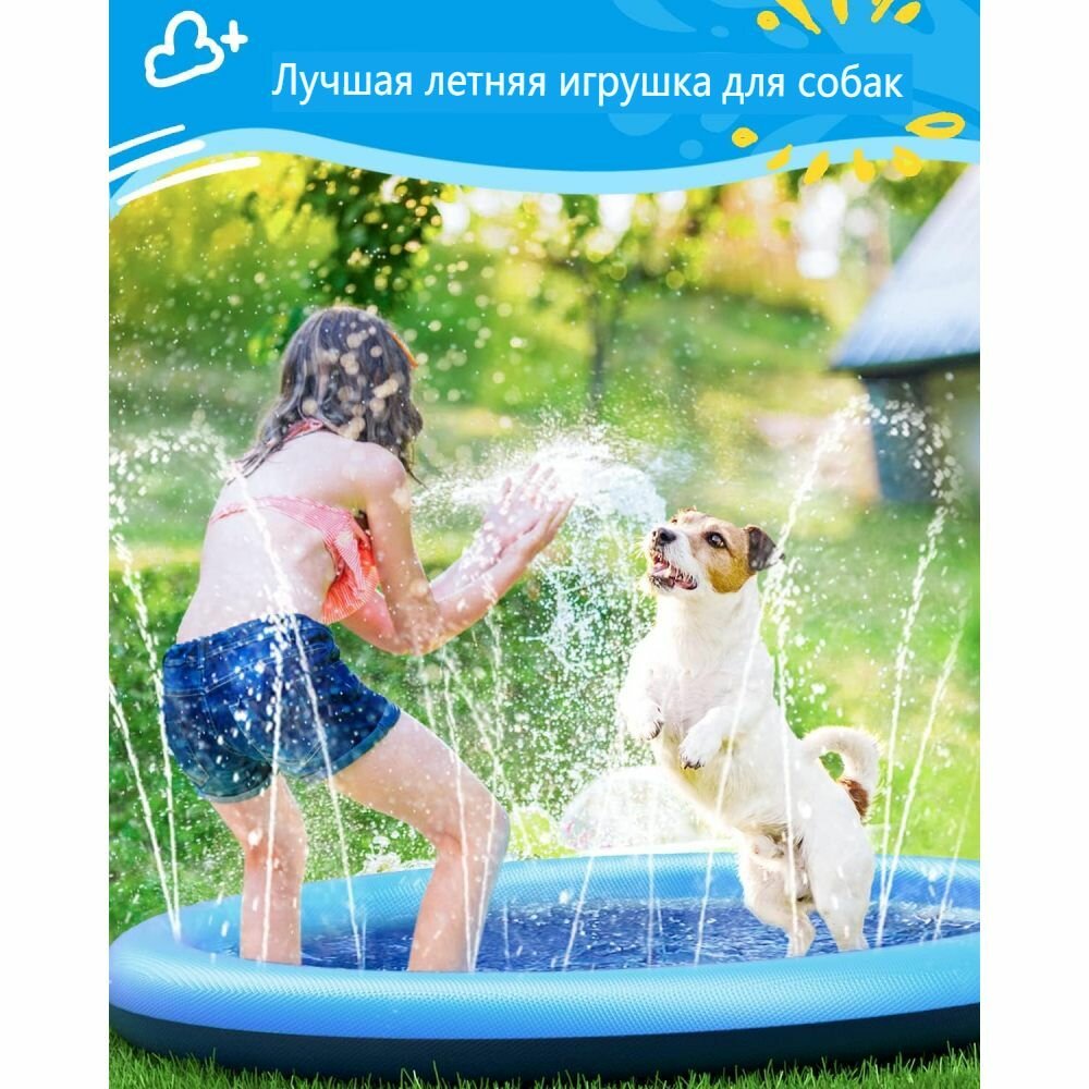 Бассейн для животных — фото 1