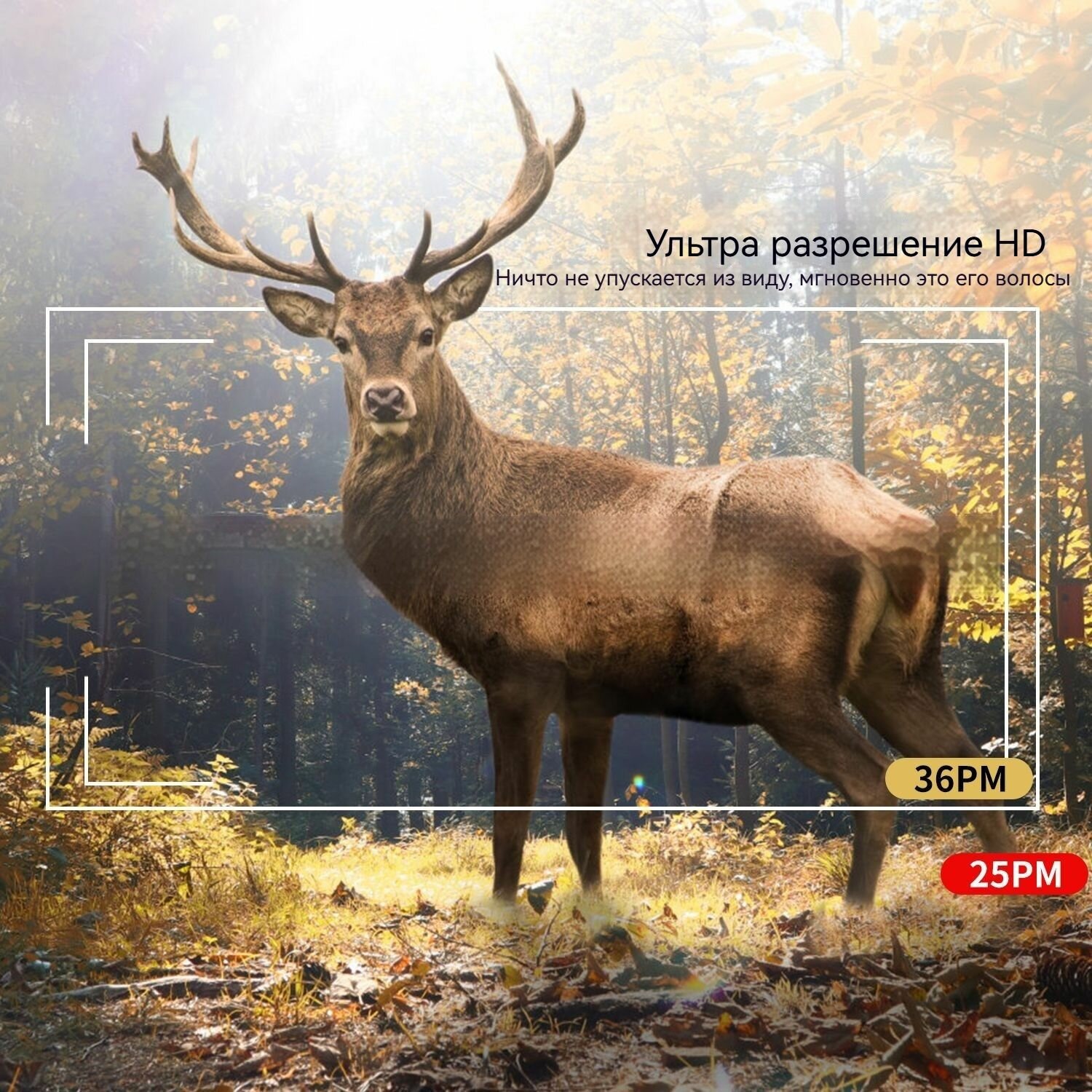 Фотоловушка для охоты — фото 1