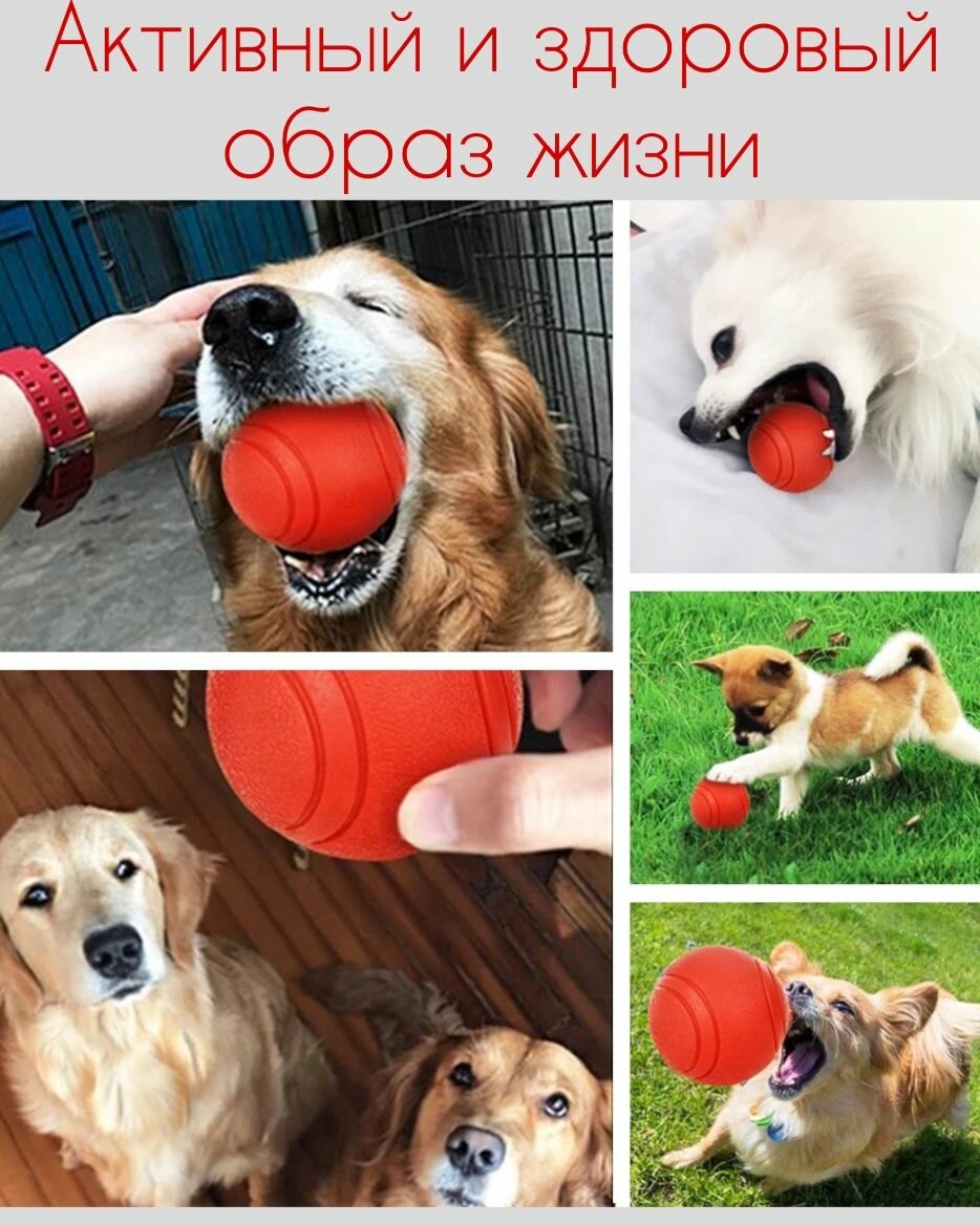 Мяч для собак суперпрочный литой для активных игр 6 см — фото 1