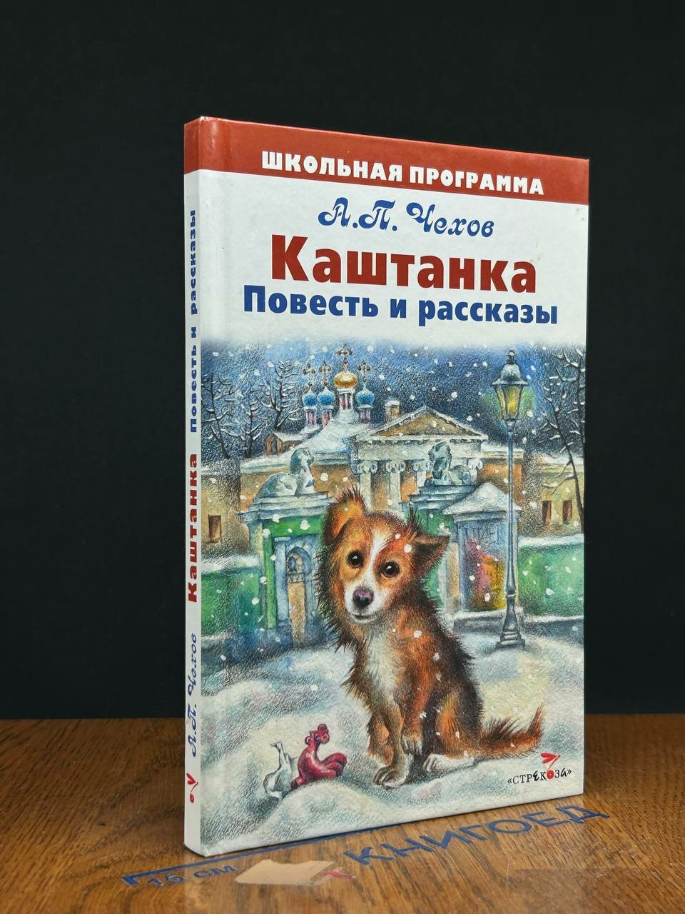 Книга. Каштанка. Повесть и рассказы 2015 (2044761965305)