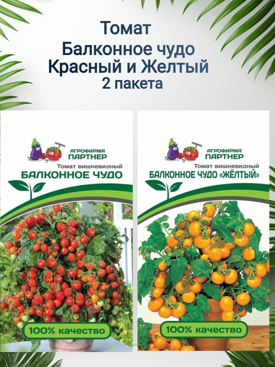 Томат Балконное чудо и Балконное чудо Желтый