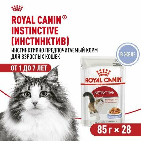 ROYAL CANIN INSTINCTIVE 28 шт по 85 г влажный корм, кусочки в желе для кошек старше 1-го года