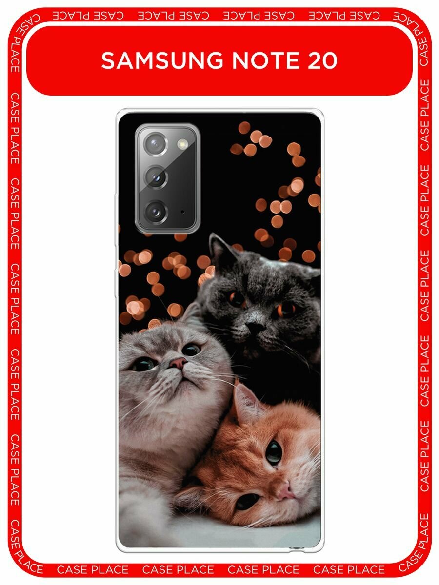 Чехол на Samsung Galaxy Note 20 / Самсунг Галакси Ноут 20 с принтом "Кошачьи обнимашки"