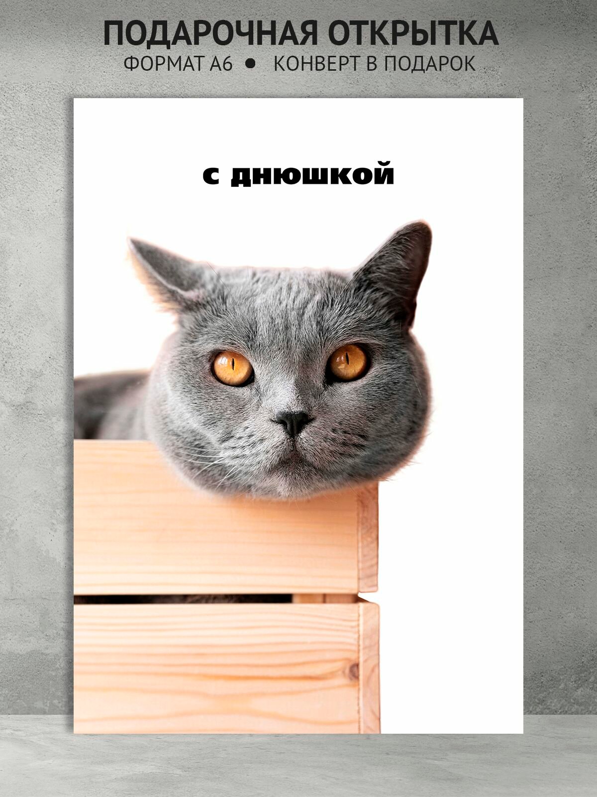 Подарочная открытка с уникальной иллюстрацией котик "С днюшкой" с днем рождения, с юбилеем