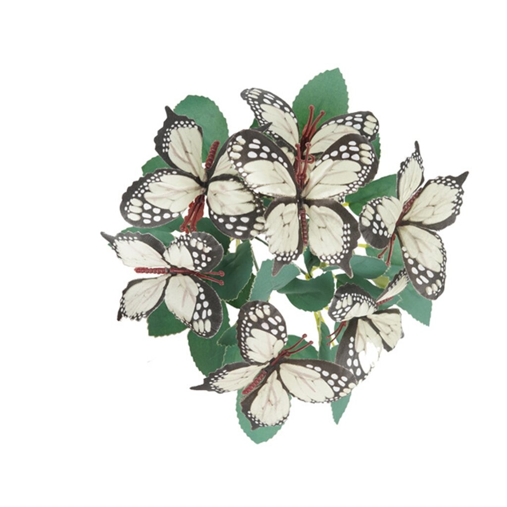Красочный цветок-имитатор бабочки с 7 головками-белый