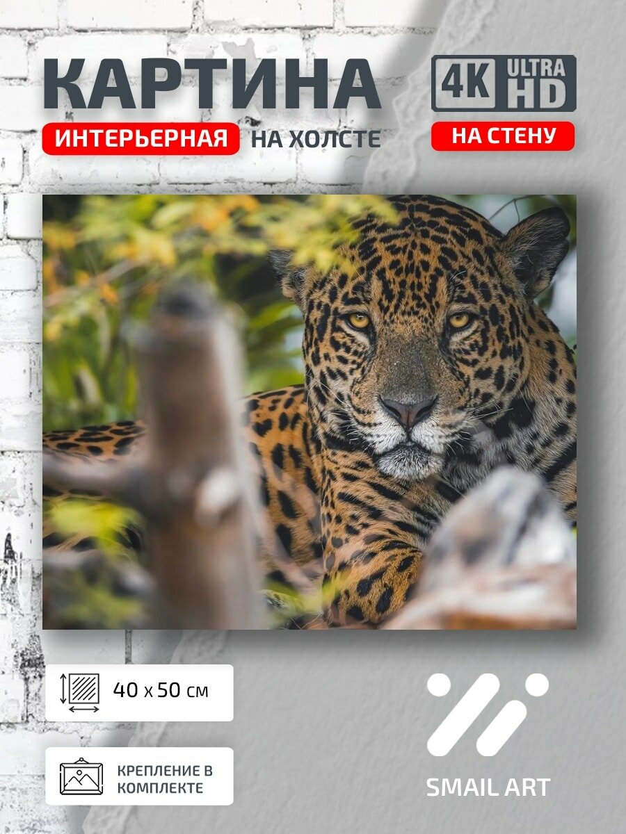 Картина на холсте интерьерная 40 на 50 на стену Животные Леопард для гостиной атмосфера