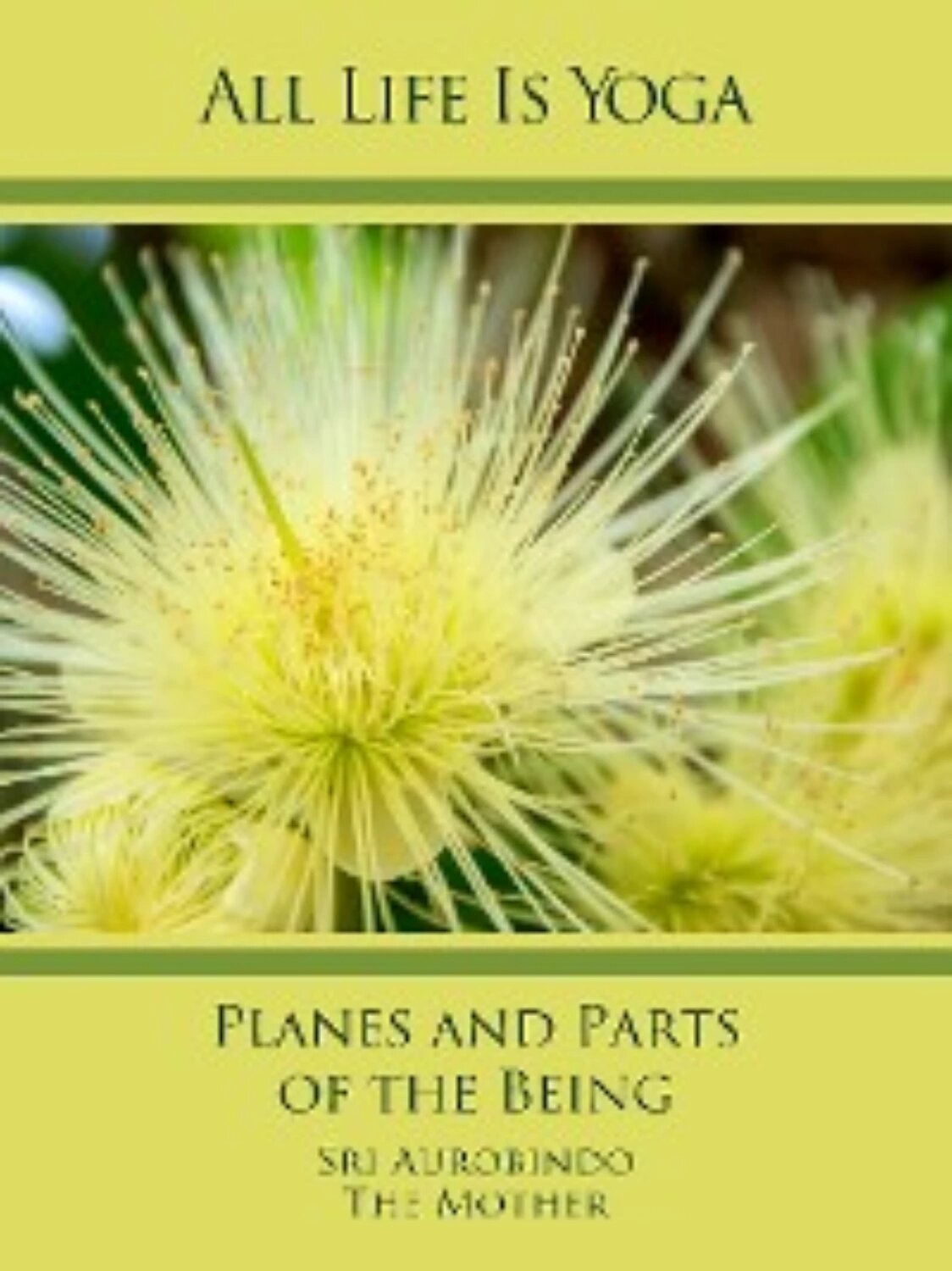 All Life Is Yoga: Planes and Parts of the Being [Цифровая книга]