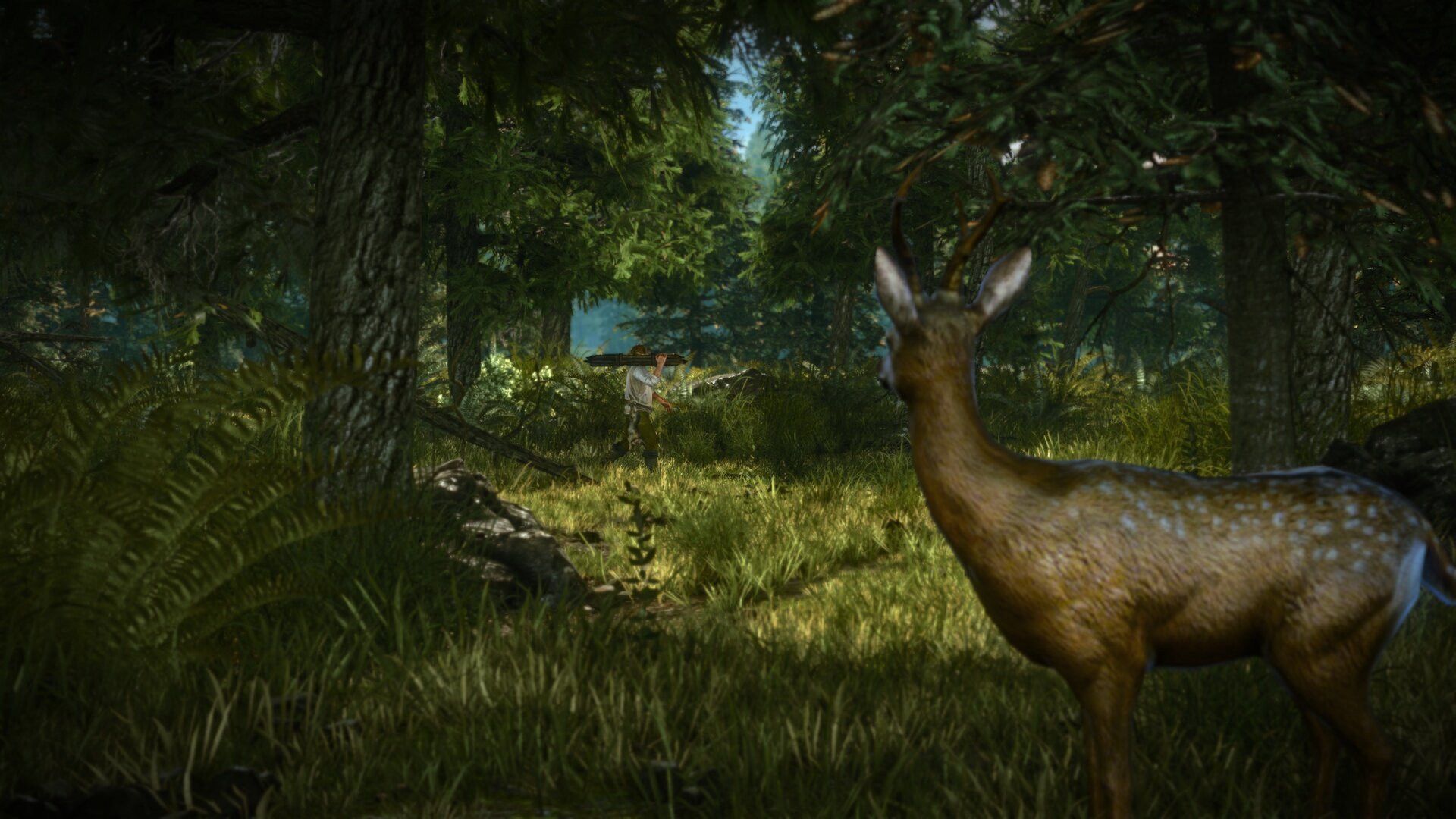 Игра The Witcher 2 (RU) для Steam PC (ПК) СНГ Steam GIFT — фото 1