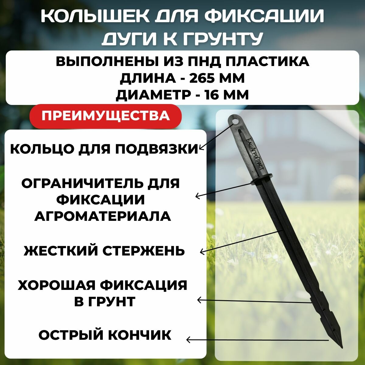 Теплица — фото 1
