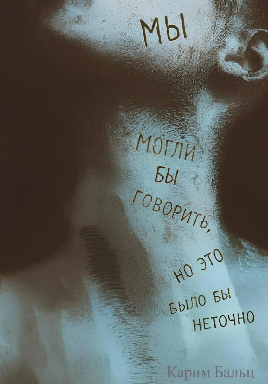 Мы могли бы говорить, но это было бы неточно [Цифровая книга]