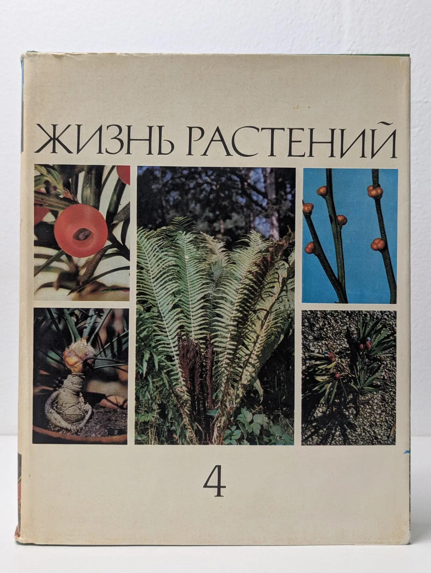 Жизнь растений. В 6 томах. Том 4. Мхи. Плауны. Хвощи Федоров Александр Александрович (ред.) 1978