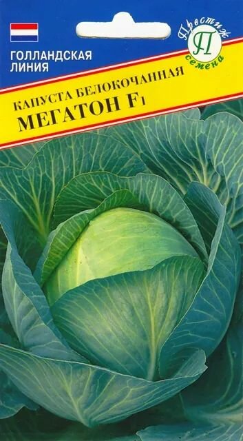 Капуста Мегатон F1 белокочанная 10 шт, Семена Престиж