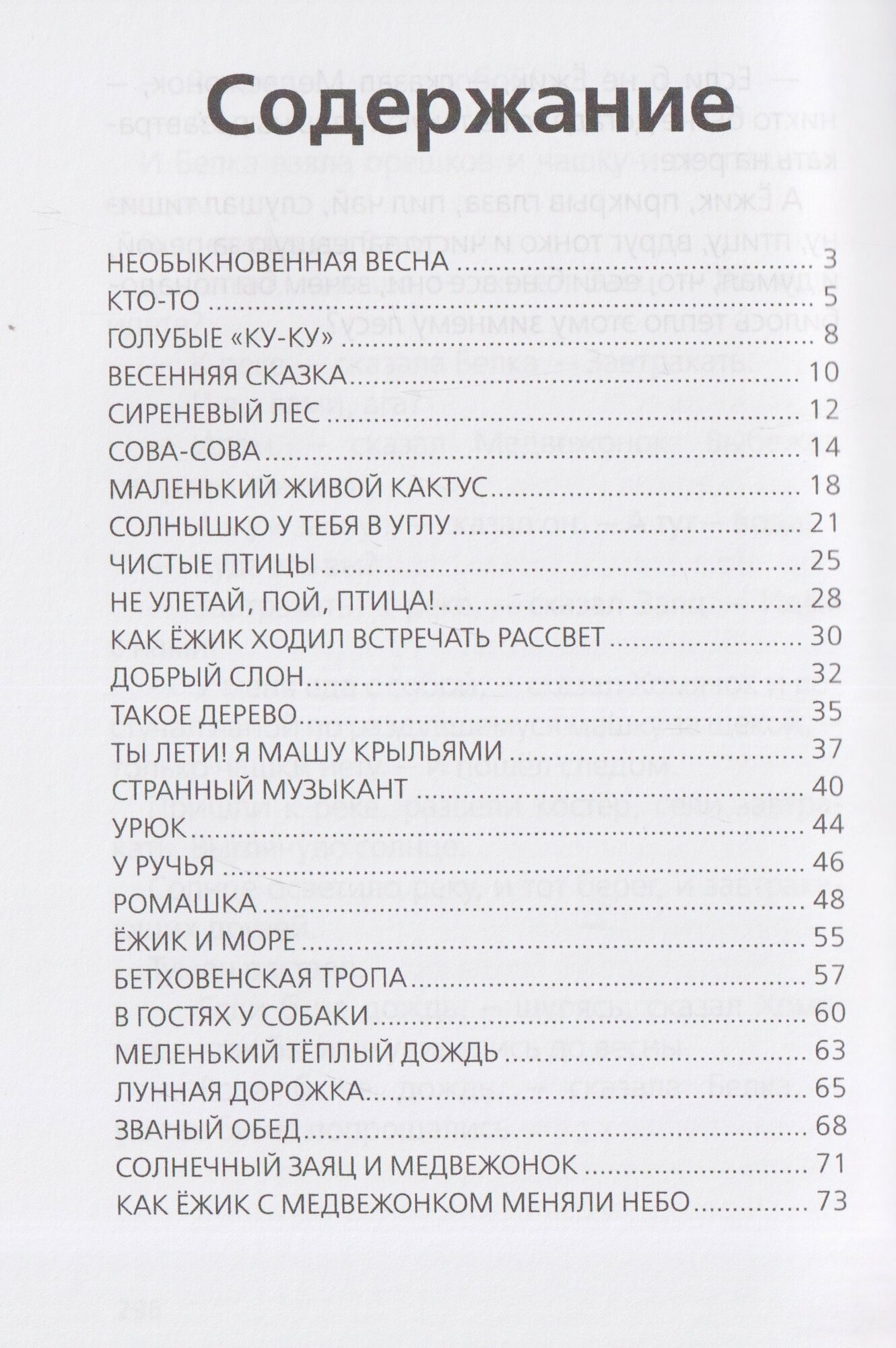 Ёжик в тумане — фото 1