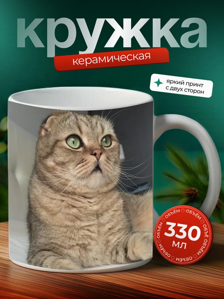 Кружка Шотландская прямоухая кошка 44,