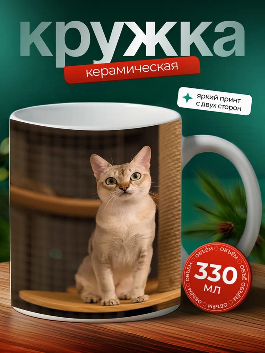 Кружка Сингапурская кошка,