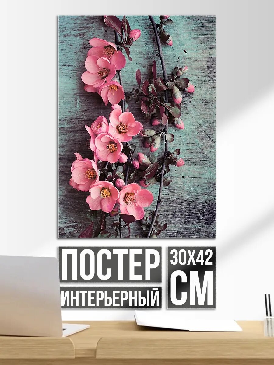 Плакат постер Цветущая ветка