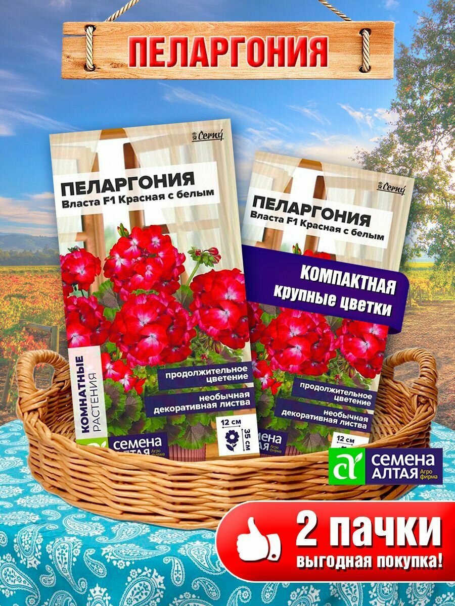 Семена пеларгонии Власта F1 красная с белым от компании Семена Алтая (2 пачки)