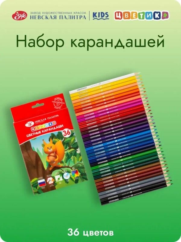 Набор карандашей Невская палитра Цветик, 36 цветов в картонной упаковке 37411404