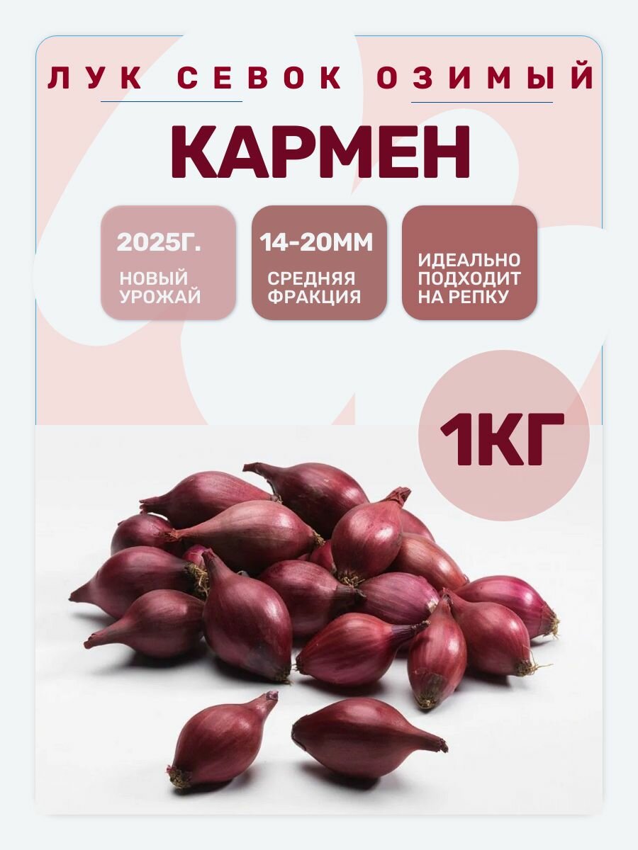 Лук севок Кармен 1кг