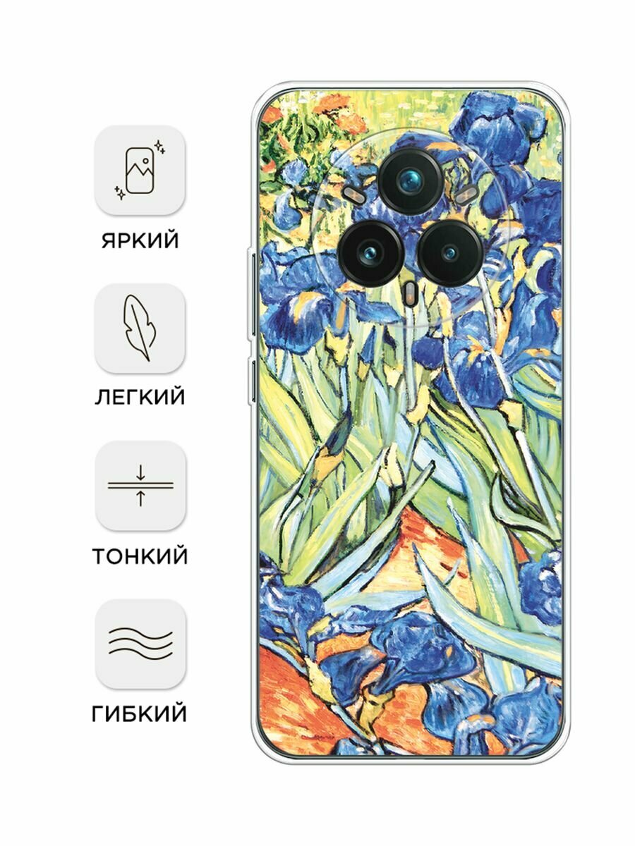 Чехол на Realme 14 Pro / Реалми 14 Про с принтом "Ирисы Ван Гог" — фото 1
