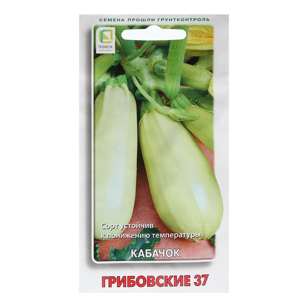 Семена кабачка поиск "Грибовские 37", среднеранний сорт, 12 штук