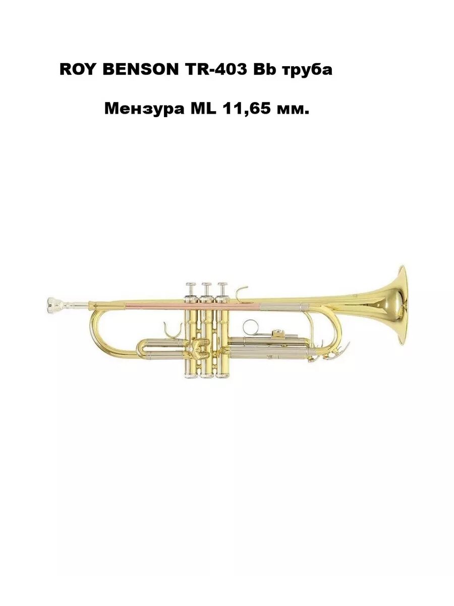 ROY BENSON TR-403 Bb труба