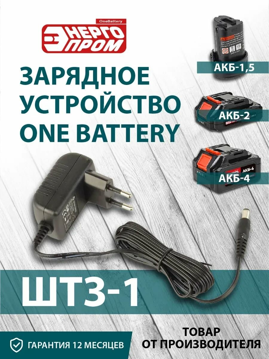 Зарядное устройство ONE BATTERY "энергопром Home Master" ШТЗ-1