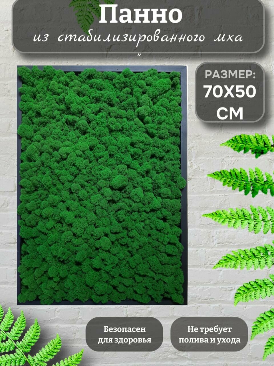 Панно из мха/70*50/"Полотно"