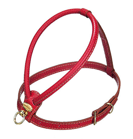 Шлейка Камон для собак кожаная Красная Small