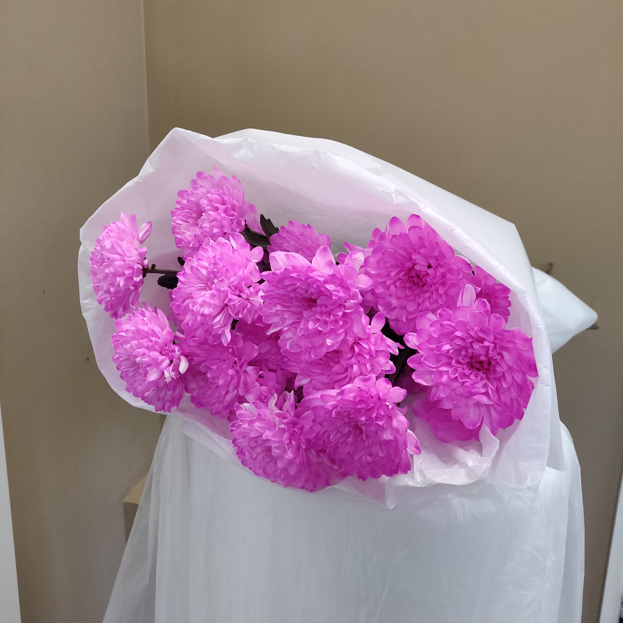 Букет невероятных розовых кустовых хризантем, премиум плантация в эффектной упаковке.