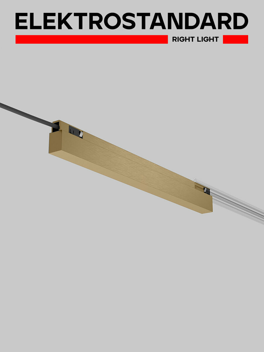 Блок питания Elektrostandard Line Magnetic Brass Line 95066/00, 150 Вт, цвет латунь