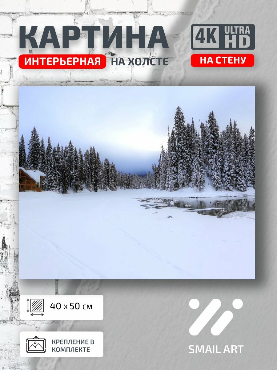 Картина на холсте интерьерная 40 на 50 на стену Дом Landscape для кабинета пейзаж интерьер