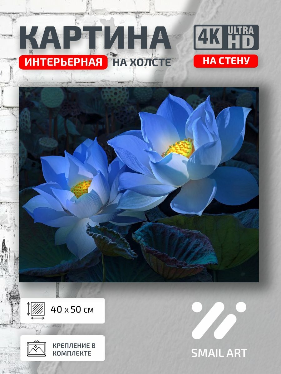 Картина на холсте интерьерная 40 на 50 на стену Бутоны Mood для кабинета атмосфера интерьер