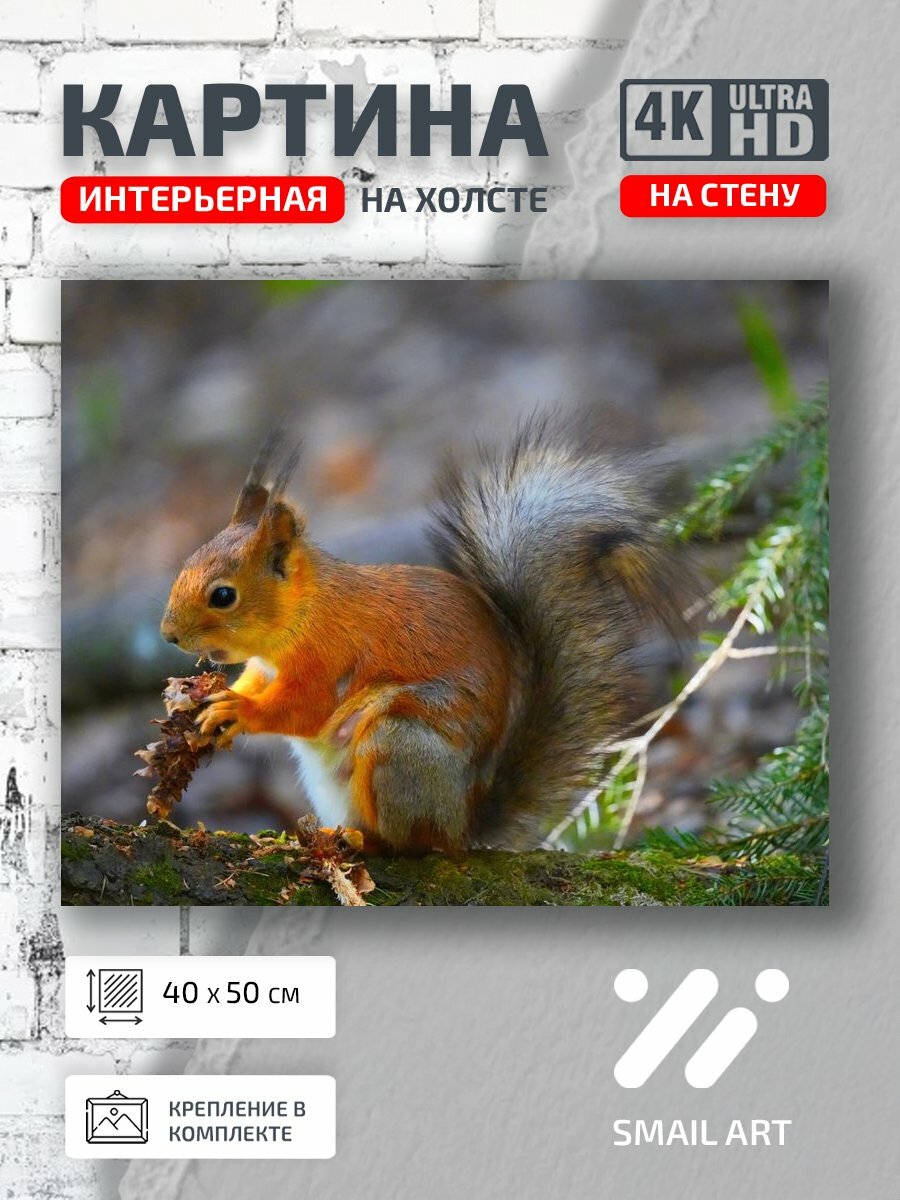 Картина на холсте интерьерная 40 на 50 на стену Фон Mood для офиса атмосфера интерьер декор