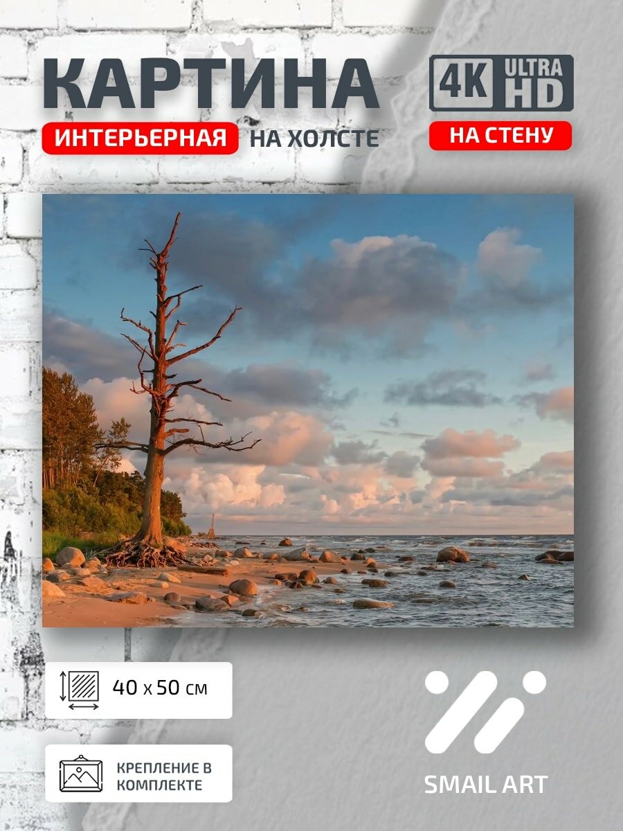 Картина на холсте интерьерная 40 на 50 на стену Балтийское море для офиса атмосфера