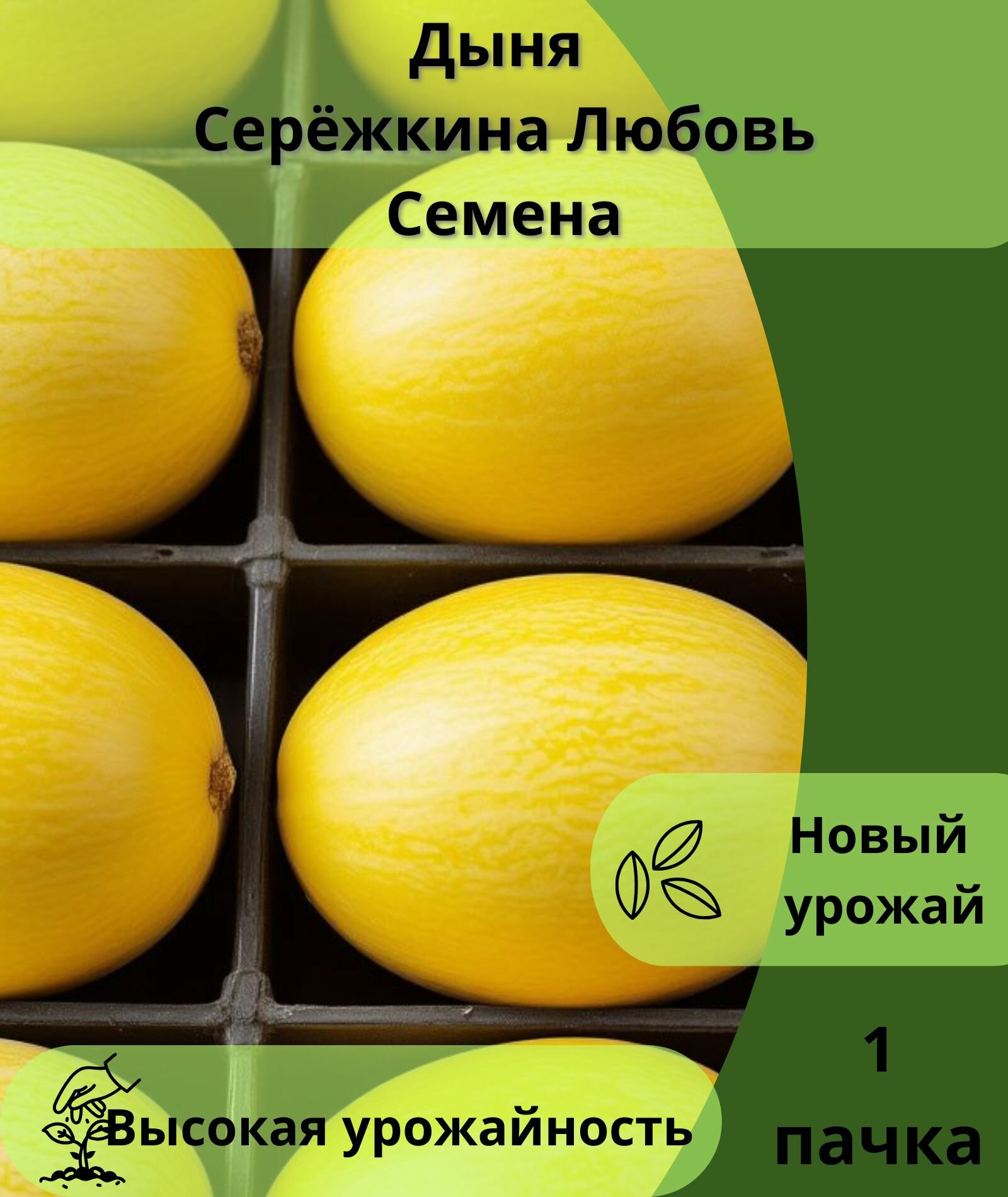 Дыня Сережкина любовь, семена 10шт