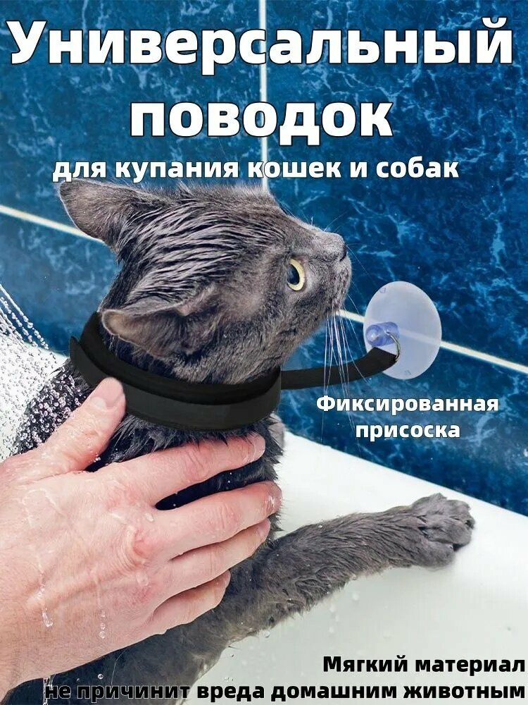 Универсальный поводок для купания кошек и собак, присоска для купания домашних животных, фиксированный ошейник