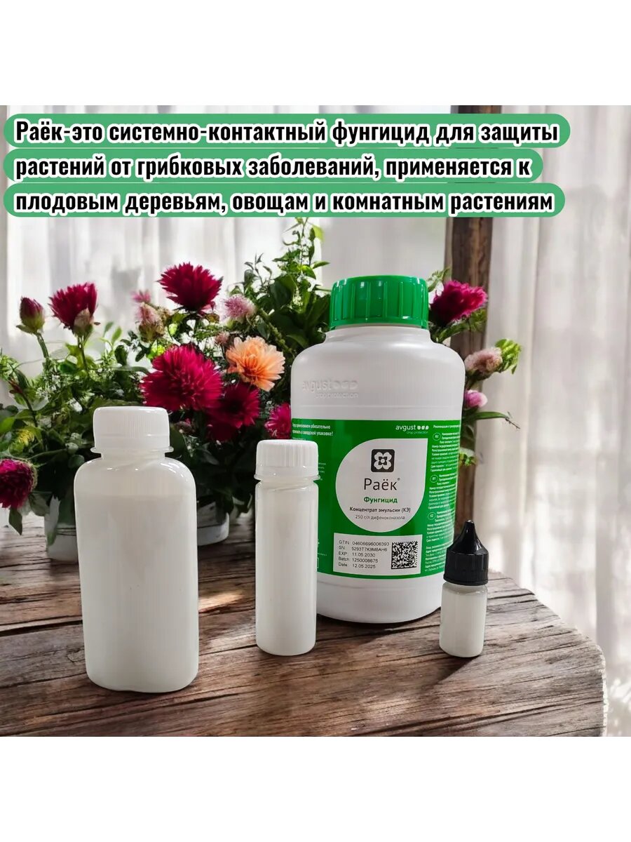 Фунгицид Раёк (фасовка) 100 мл
