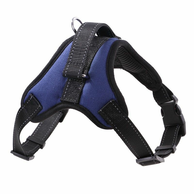 Safety no pull adjustable harness leash with easy buckle system and comfortable fitted design dog blue small