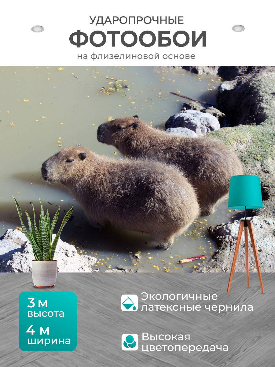 Фотообои моющиеся ударопрочные "Капибара, животные, зоопарк" 400x300 см. флизелиновые на стену