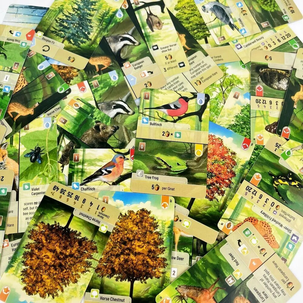 Настольная игра Forest Shuffle: Карточная игра для вечеринок. Обладатель наград, классическая стратегия для компании. Идеальный подарок на День Рождения.