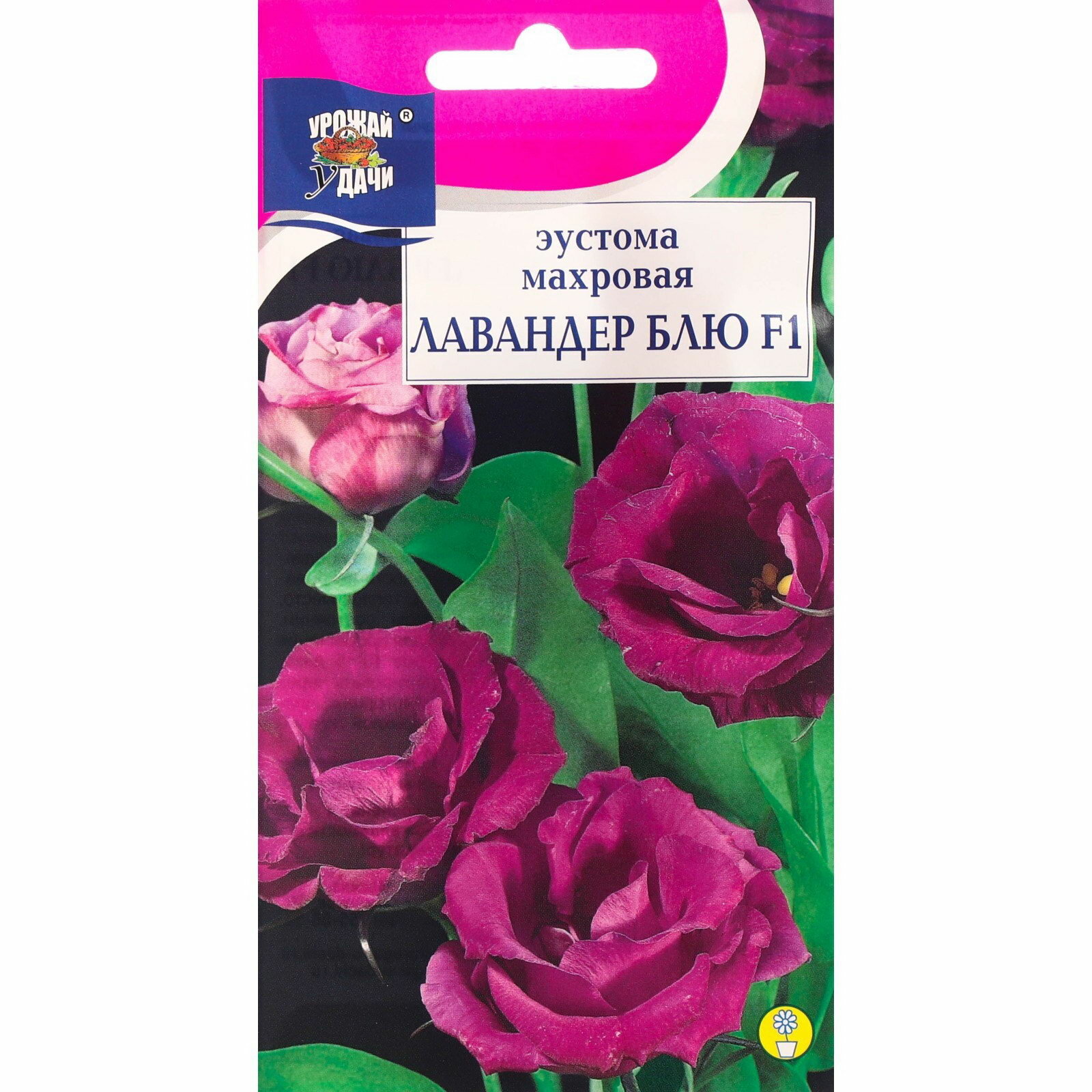 Семена цветов Эустома махровая "Рози Лавандер Блю", F1, в ампуле, 0.003 г